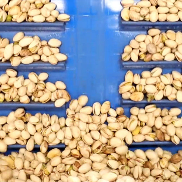 เครื่องคัดแยกและคัดเกรดพิสตาชิโอความเร็วสูงควบคุมด้วยคอมพิวเตอร์ 16 ช่อง